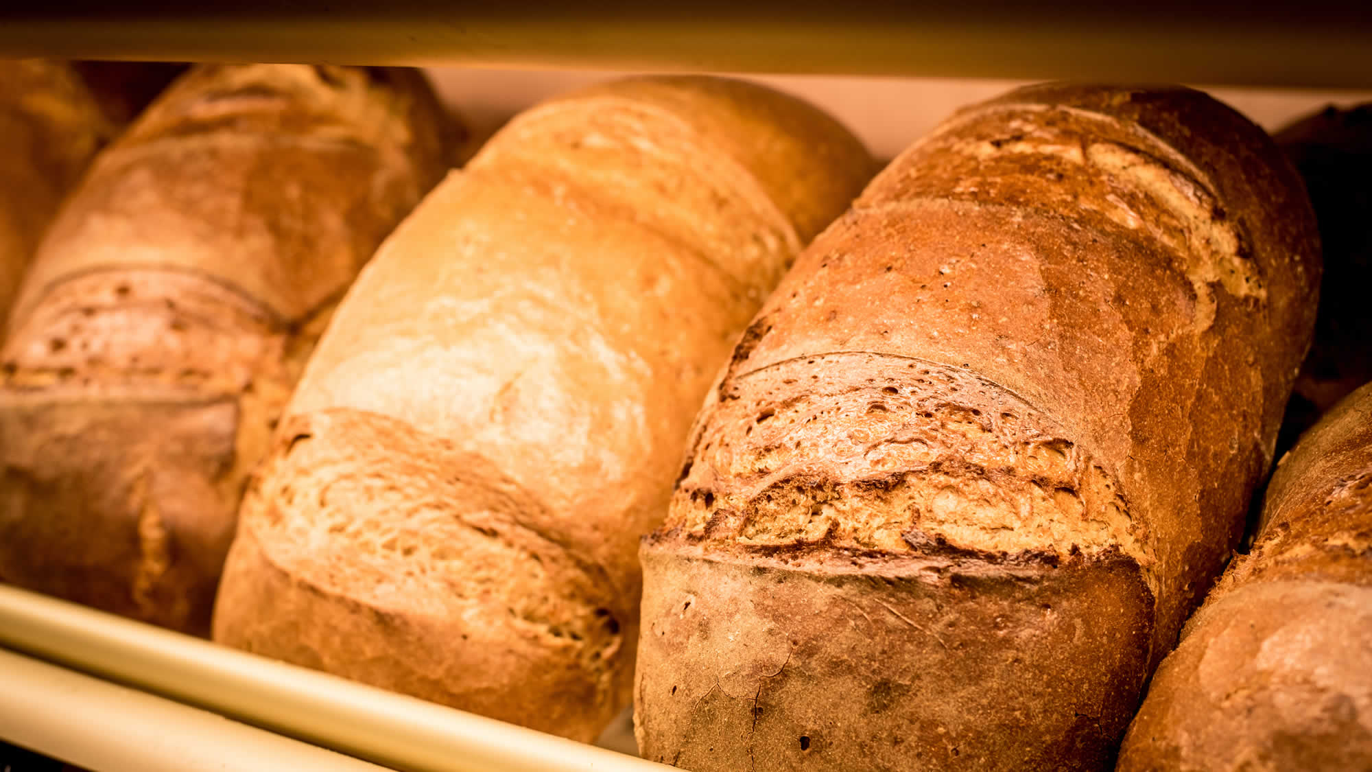 Brotkultur in Deutschland | Bäcker Wahn